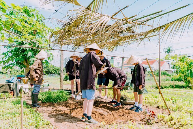 Farming & Cooking Class in Hoi An - Small Group Tour - Why This Tour Is Worth Consideration