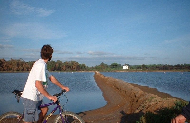 Faro Bike Tour through the Beautiful Ria Formosa - The Details: What’s Included and What to Keep in Mind