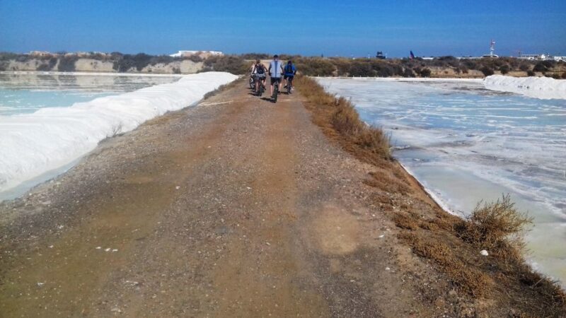 Faro Bike Tour through the Beautiful Ria Formosa - Authentic Experiences and Value
