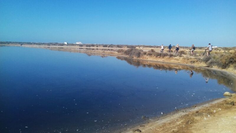 Faro Bike Tour through the Beautiful Ria Formosa - Frequently Asked Questions