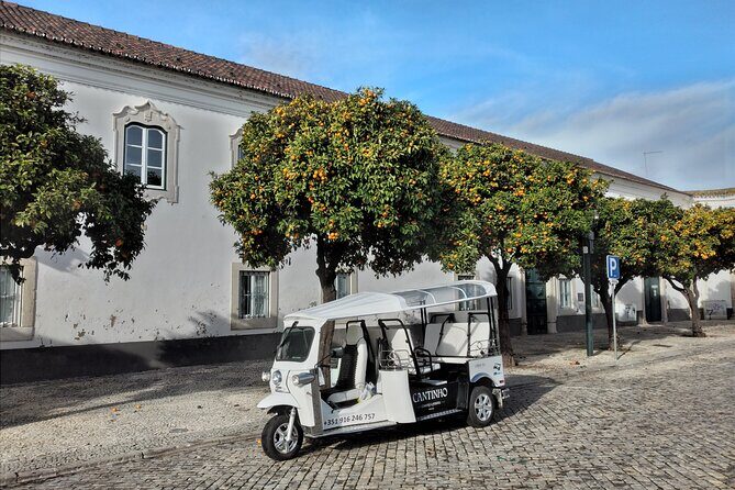 Faro City and Beach Tour on Electric Tuk tuks - Faro City and Beach Tour on Electric Tuk-tuks: A Detailed Experience Review