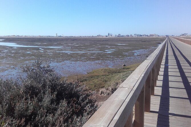 Faro City and Beach Tour on Electric Tuk tuks - A Closer Look at the Faro Tuk-Tuk Tour