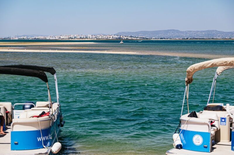 Faro: Deserta Island and Farol Island Catamaran Boat Trip - Final Thoughts: Who Will Love This Tour?