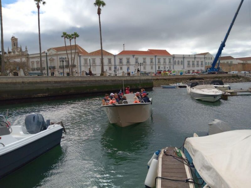 Faro: Dolphin and Marine Life Watching Boat Tour - The Practical Side: Details and Considerations