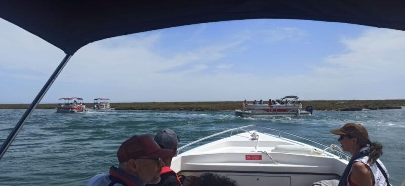 Faro: Dolphin and Marine Life Watching Boat Tour - Why This Tour Is Worth Considering