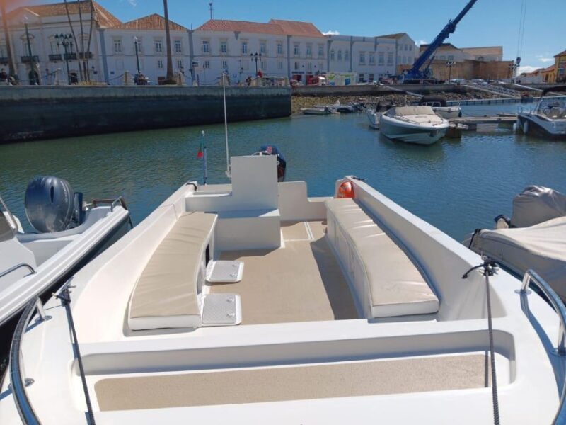 Faro: Dolphin and Marine Life Watching Boat Tour - Wrapping It Up