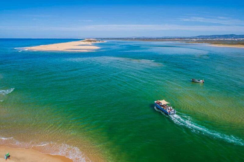 Faro: Full Day Private Charter at The Ria Formosa - Practical Tips for a Smooth Experience