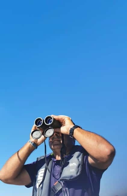 Faro: Funtastic Dolphin Watching Boat Tour - What You Can Expect During the Tour