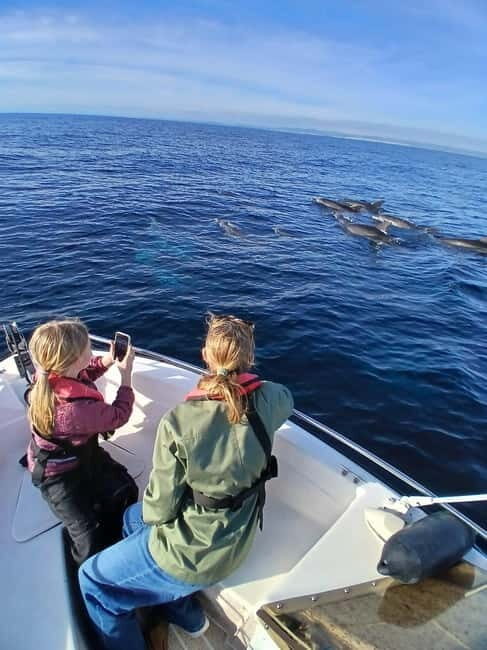 Faro: Funtastic Dolphin Watching Boat Tour - In Summary: Who Should Book This Tour?