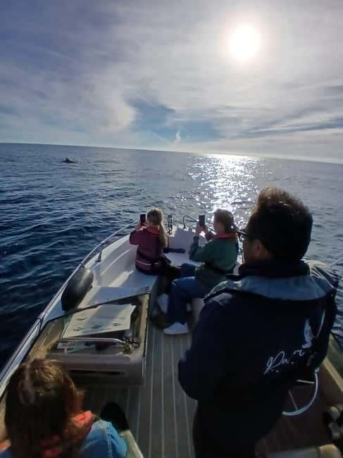 Faro: Funtastic Dolphin Watching Boat Tour - FAQ