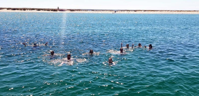 Faro: Half Day Private Tour in Ria Formosa Natural Park - Detailed Breakdown of the Itinerary