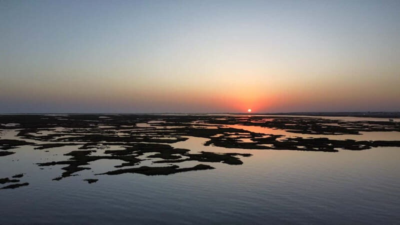 Faro: Half Day Private Tour in Ria Formosa Natural Park - Authentic Traveler Feedback: What They Say