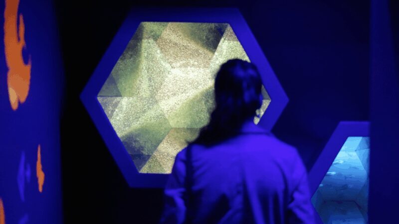 Faro: Multimedia Museum and Restaurant Tour - What the Tour Offers and Why It’s Worth Considering