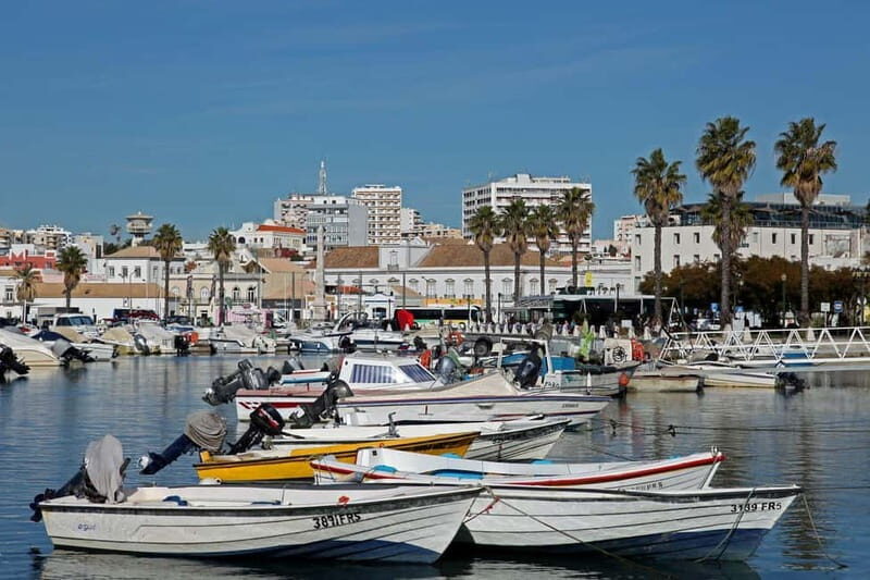 Faro: Private City 2 Hour Sightseeing Tour with Local - Dive into Faro: A City of Contrasts and Charm