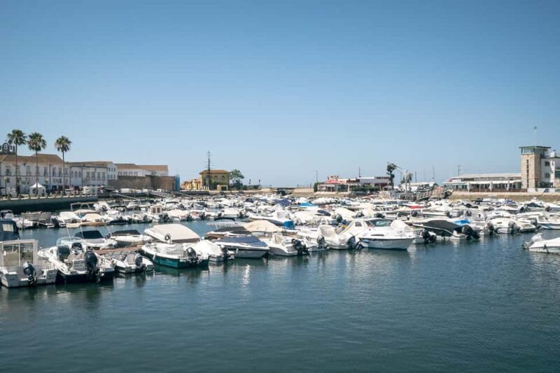Faro: Private & Flexible Walking Tour in Historic Center - Authentic Experiences and Real-World Insights