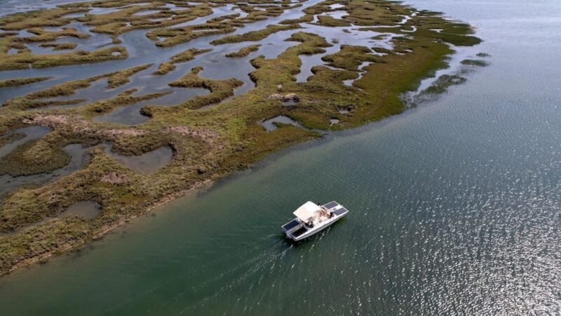 Faro: Ria Formosa Boat Tour by Eco-Friendly Solar Boat - Key Points