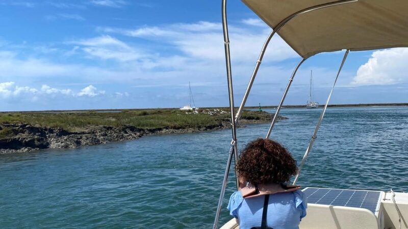 Faro: Ria Formosa Boat Tour by Eco-Friendly Solar Boat - Detailed Review