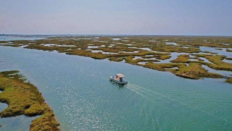 Faro: Ria Formosa Boat Tour by Eco-Friendly Solar Boat - FAQ