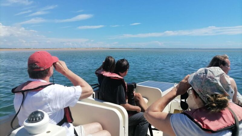 Faro: Ria Formosa Eco Birdwatching Boat Tour - Exploring the Tour Itself: What to Expect
