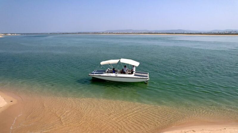 Faro: Ria Formosa Eco Birdwatching Boat Tour - Authentic Experiences and Genuine Feedback