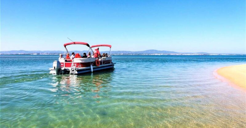 Faro: Ria Formosa Faro Islands Boat Tour - Introduction: A Genuine Hidden Gem for Nature Lovers