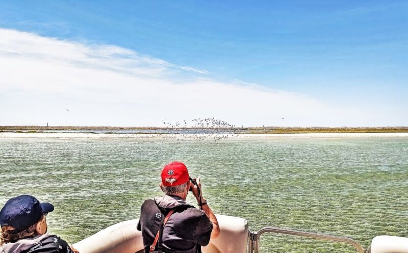 Faro: Ria Formosa Faro Islands Boat Tour - Comfort and Practicalities: What You Need to Know
