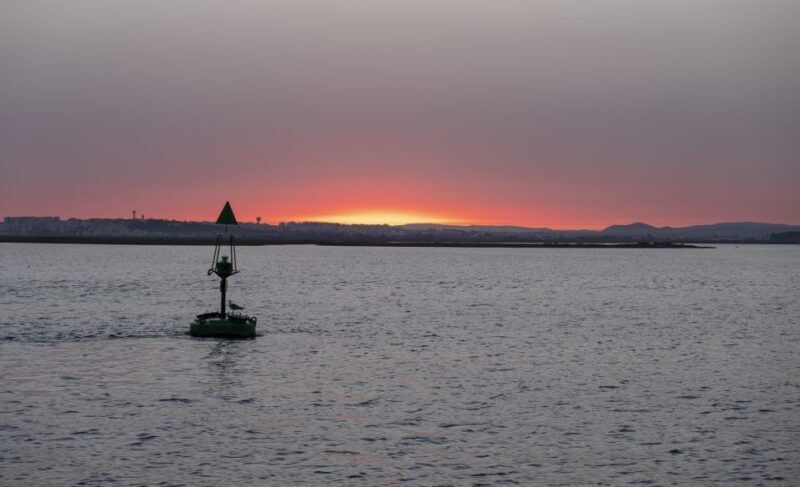 Faro: Ria Formosa Guided Sunset Tour by Catamaran - Introduction: Why This Tour Is Worth Considering