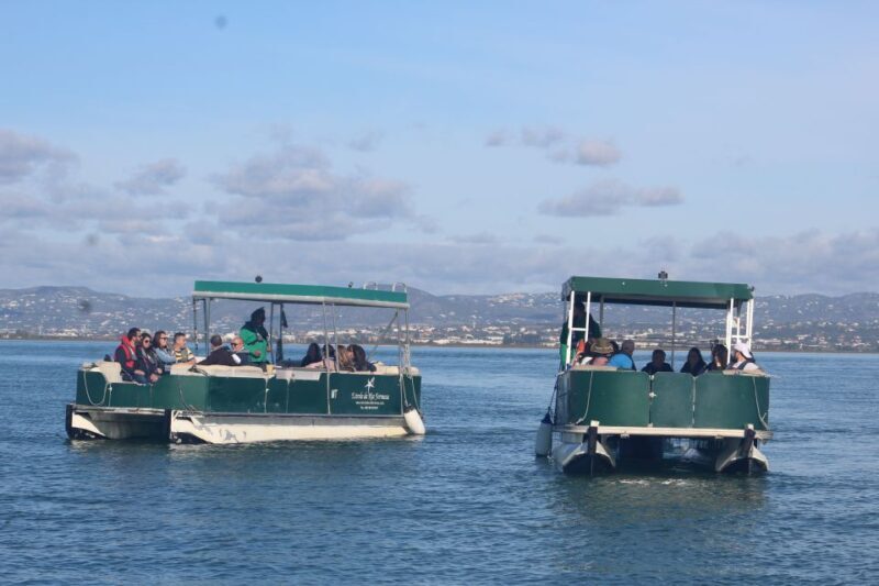 Faro: Ria Formosa Guided Sunset Tour by Catamaran - What’s Included & What’s Not