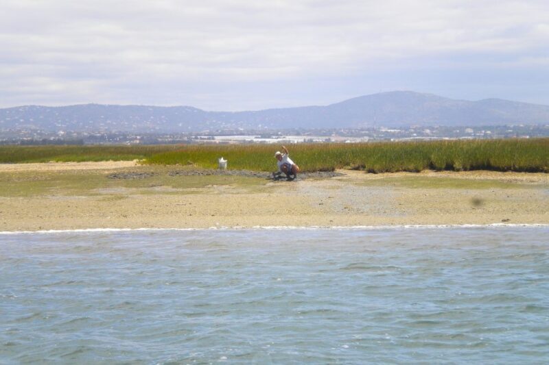 Faro: Ria Formosa Lagoon Small Boat Tour with Local Guide - Final Thoughts