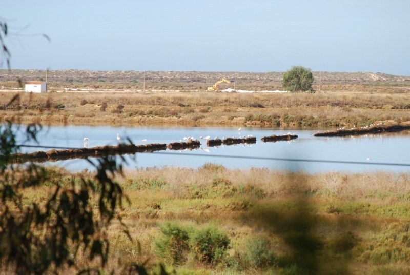 Faro: Ria Formosa Natural Park Segway Tour & Birdwatching - The Sum Up: Is It Worth It?