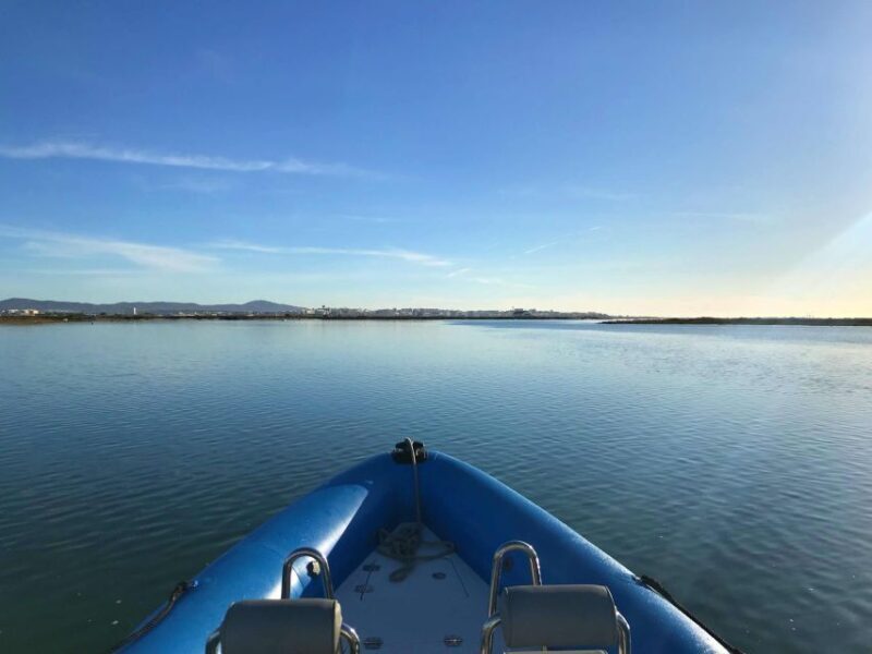 Faro: Speed Boat Tour - Visiting the Deserted Beaches