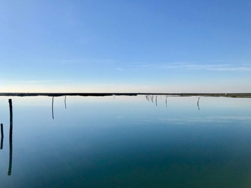 Faro: Speed Boat Tour - Price and Value