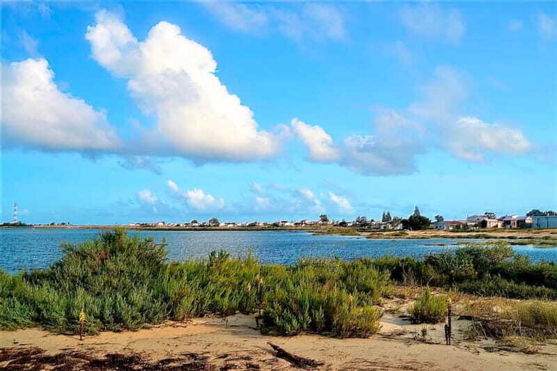 Faro: Sunset 1 hour Ria Formosa Boat Tour - The Sum Up: Why This Tour Packs a Punch