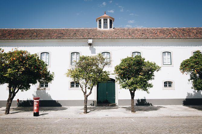 Faro Walking Tour: Uncover the Citys Architectural Legacy - Price and Value