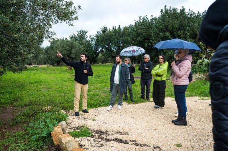 Fasano: Olive Oil Tour With Tasting and Food Pairing - What to Expect from the Tour
