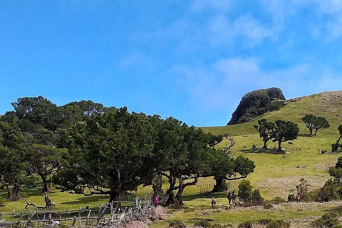 Fascinated Landscapes Northwest 4x4 excursion - Authentic Experiences and Authenticity