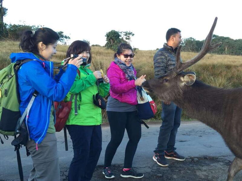 Fascinating Tours in Sri Lanka - Starting Point and Meeting Arrangements