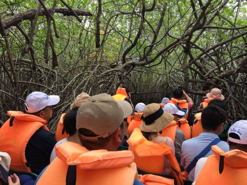 Fascinating Tours in Sri Lanka - Considerations & Limitations