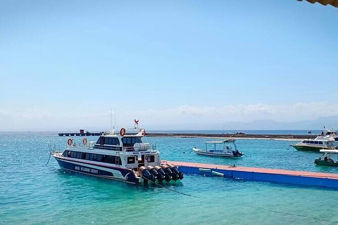 Fast Boat Transfer Sanur to Nusa Penida by Penidago - The Experience on Board