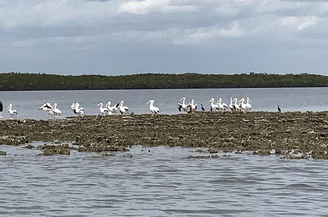 Fast & More Airboat Tour - The Value of the Tour