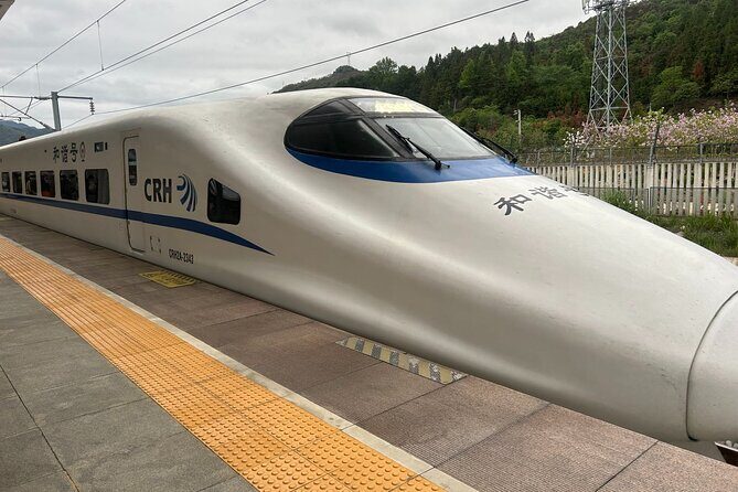 Fast Train Ticket from Guangzhou to Hong Kong with Station Transfer in Guanghou - Practical Tips for Travelers