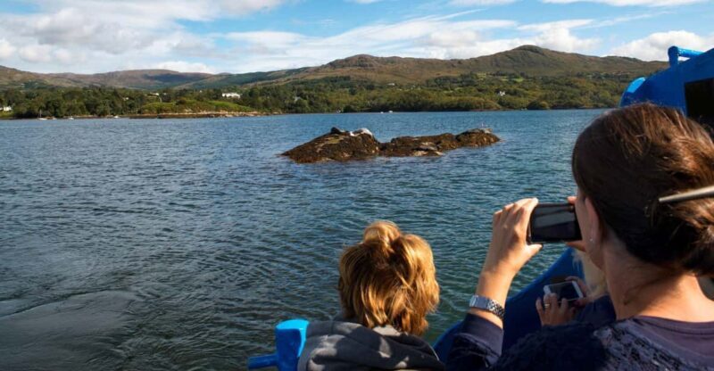 Fastnet Rock Lighthouse direct boat tour-Baltimore.Guided. - Real Traveler Perspectives