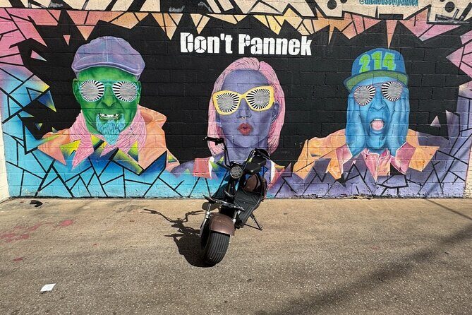Fat Tire 2 Seater Rental in Dallas - The Itinerary – What to Expect