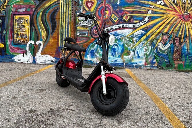 Fat Tire 2 Seater Rental in Houston - Reviewing the Fat Tire 2 Seater Rental in Houston: A Practical Guide for Adventurers