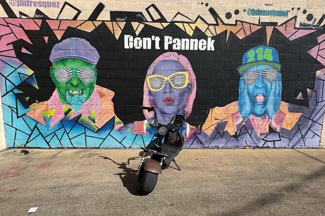 Fat Tire 2 Seater Rental in Houston - A Closer Look at the Houston Fat Tire 2 Seater Rental