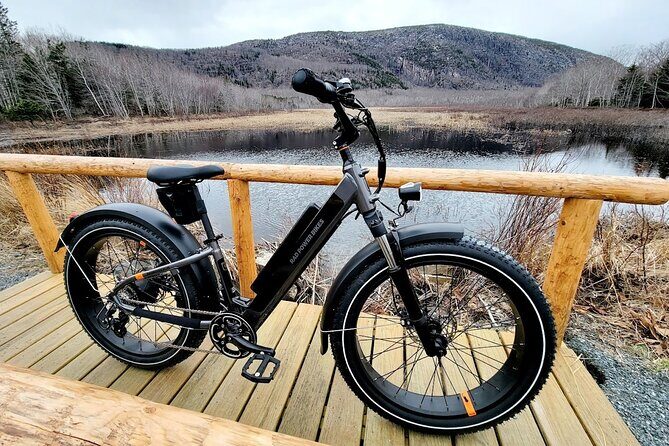 Fat Tire E-Bike Rental in Bar Harbor - Safety, Satisfaction Guarantee, and Cancellation Policy