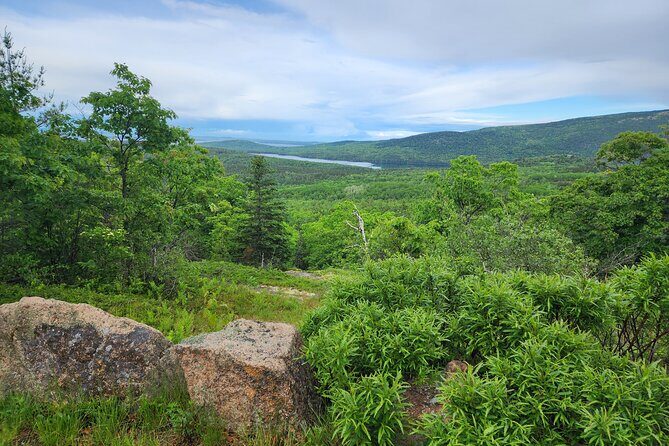 Fat Tire E-Bike Rental in Bar Harbor - Who Should Consider This Experience?
