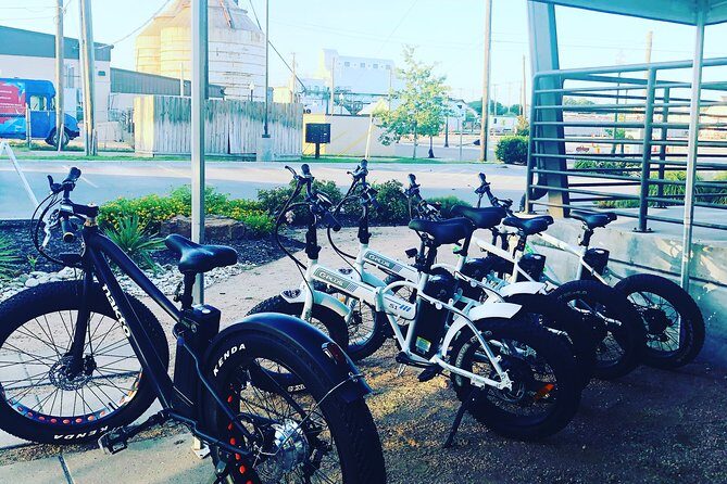 Fat Tire Electric Bike Tour in Vero Beach Florida - Authentic Experiences from Fellow Travelers
