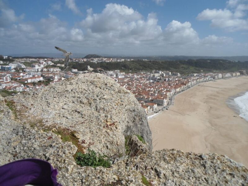 Fátima, Batalha, Alcobaça, Nazaré and Óbidos Private Tour - Final Thoughts on the Experience
