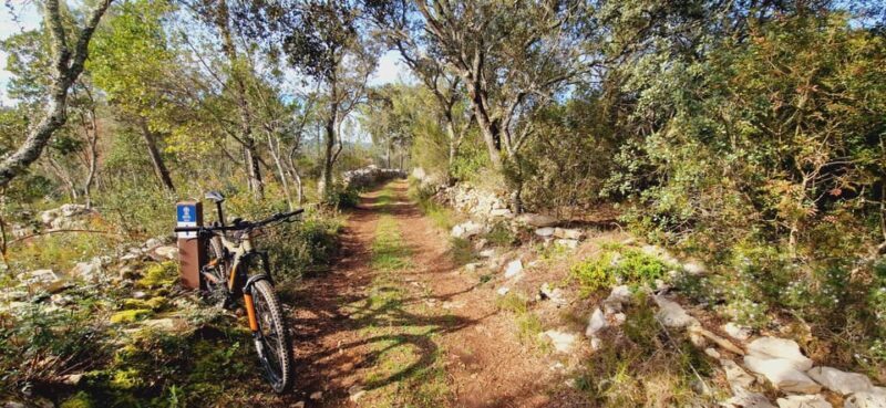 Fátima: Caves & Tradition E-bike Tour - Who Is This Tour Best For?